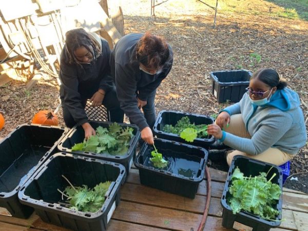 Homepage - J.M. Wright Technical High School